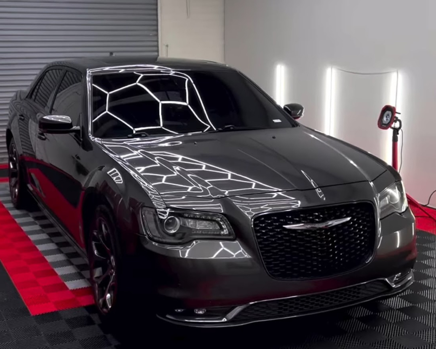 How to Get Dog Hair Out of Car Seats (and Carpet)